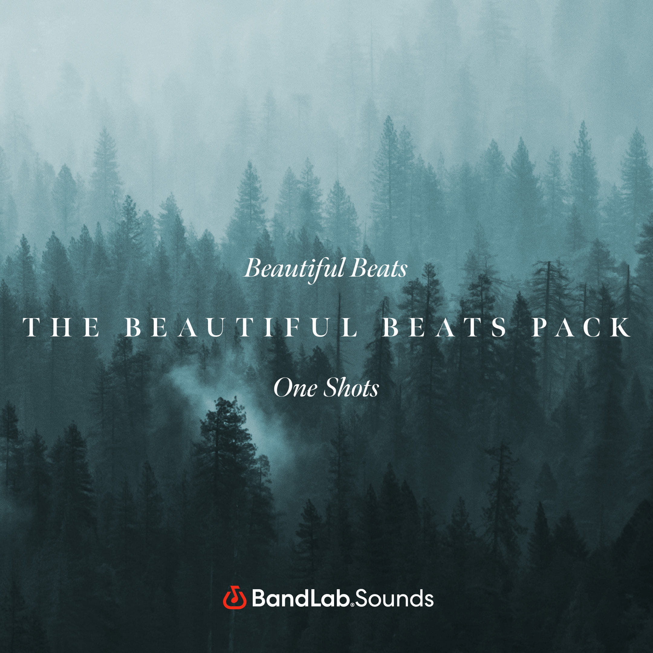 Beautiful Beats: One Shots | BandLab Sounds