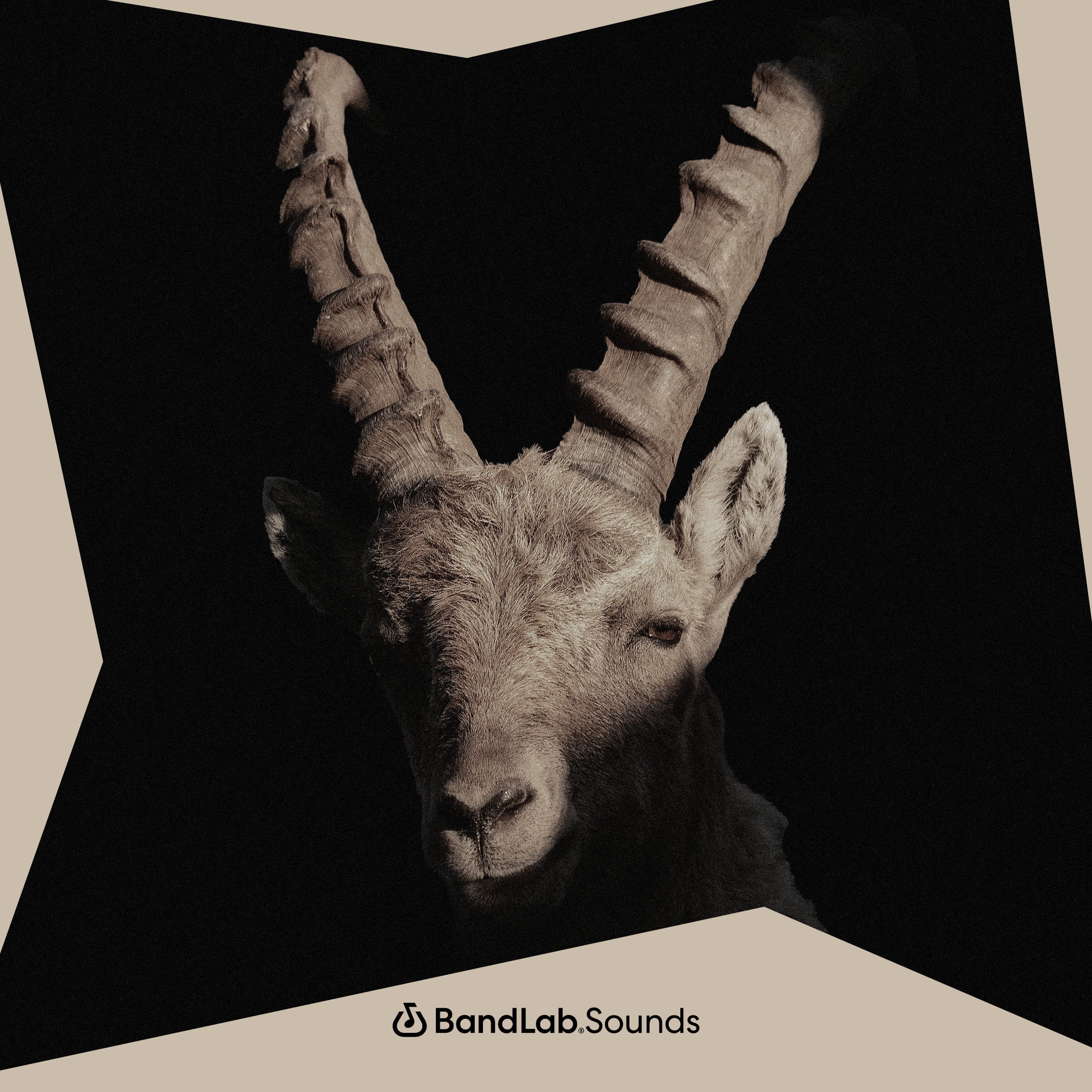Goliath Da Goat Presents Rap Starters | BandLab Sounds