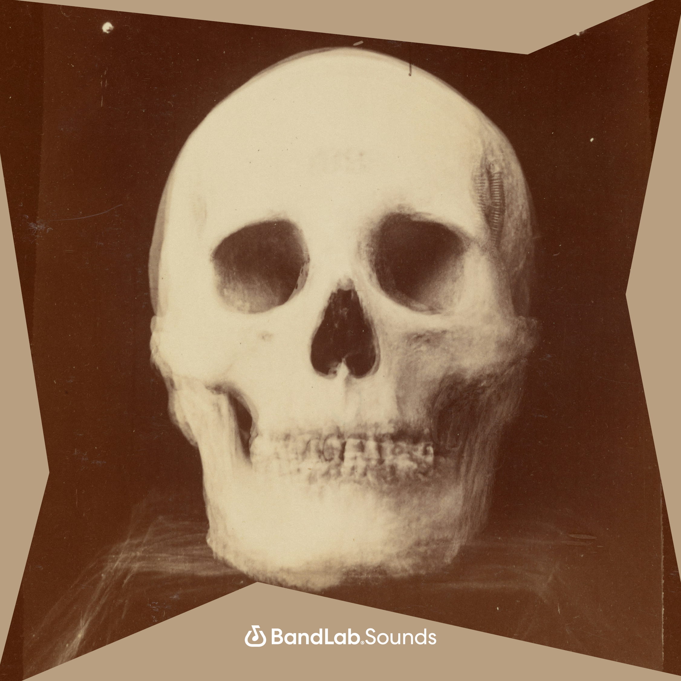 Protovolt Presents Doomed | BandLab Sounds