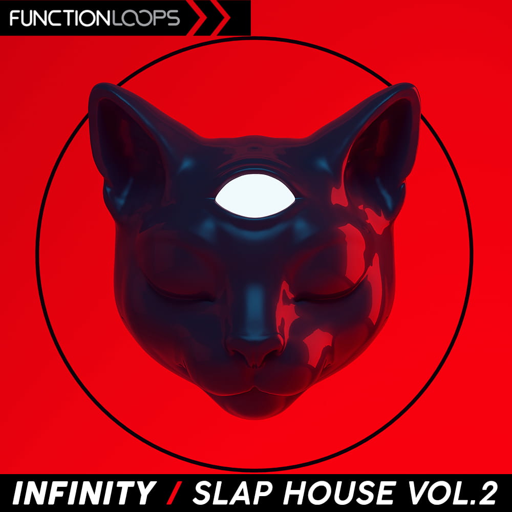Function Loops: Infinity Slap House Vol. 2 | BandLab Sounds